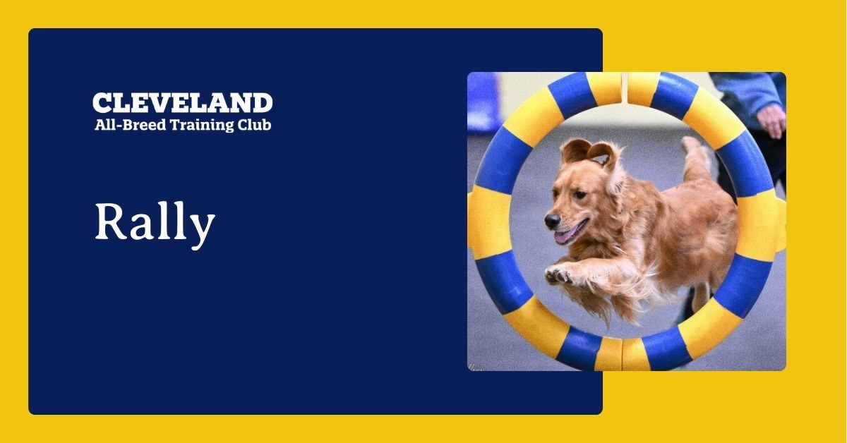 AKC Rally Training Classes | Cleveland All-Breed Training Club