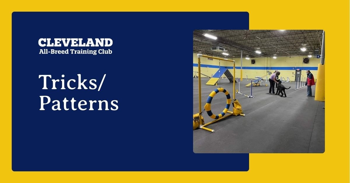 Tricks and Patterns Classes | Cleveland All-Breed Training Club